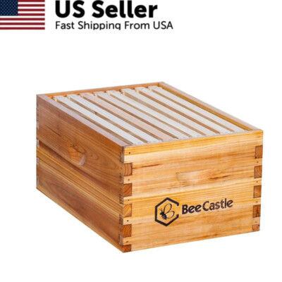 Heavy Wax Coated Deep/Brood Box with Frames and Beeswax Coated ...