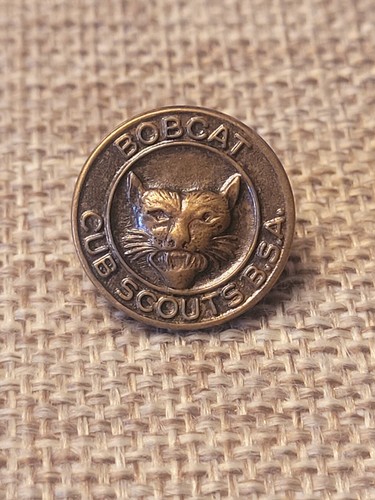 Vintage BSA Bobcat Round Design Boy Cub Scouts Award Metal Pin Tack | eBay