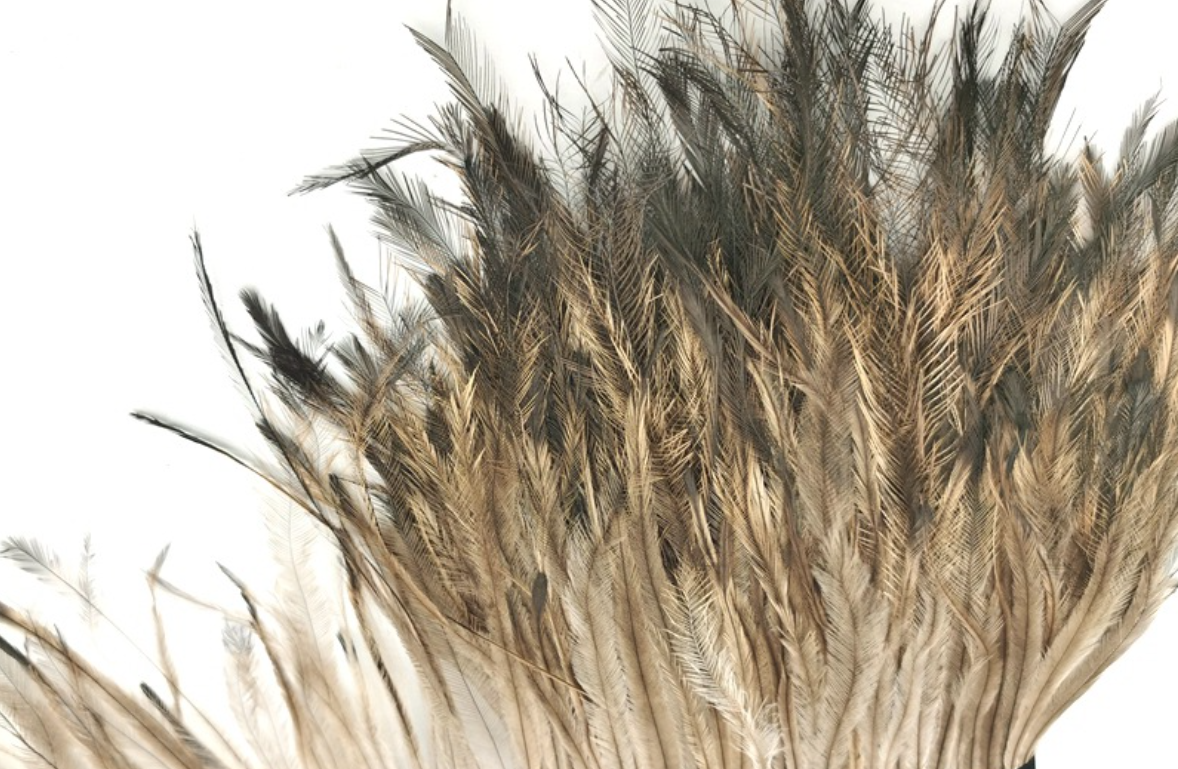 Emu Feathers x 10 Metres Millinery Ribbon Fringe Craft Feather Plume ...
