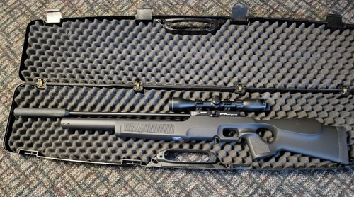 FX Independence .22 Air Rifle Multi Pump Pneumatic (PCP) | eBay