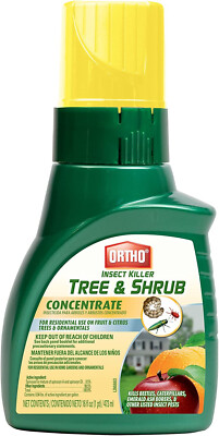 Ortho Insect Killer Tree and Shrub Concentrate | eBay