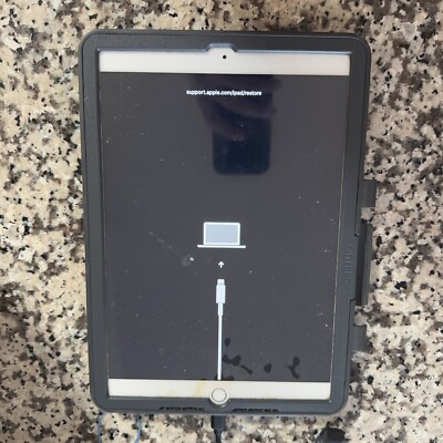 Apple iPad 8th Gen. 32GB, Wi-Fi, 10.2 in, Rose Gold, Model A2270 ...