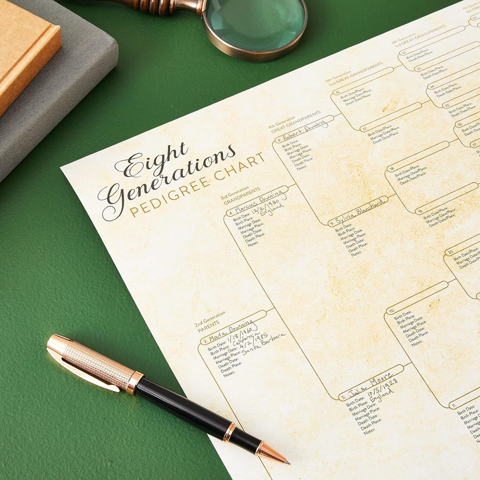 15 Pack Family Tree Charts to Fill In Eight Generation Genealogy Poster ...
