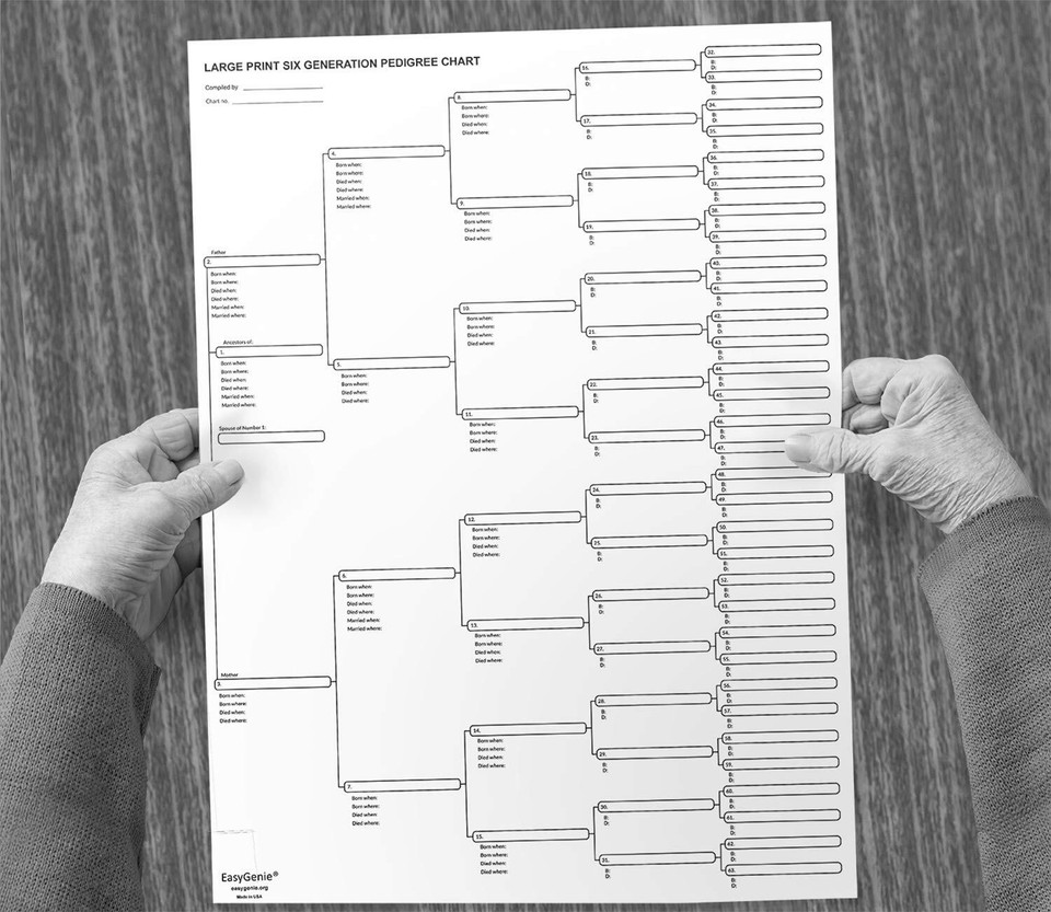 LARGE PRINT Blank Pedigree Chart 6 generations/64 names for Ancestry ...