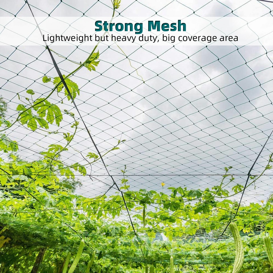 Garden Anti Bird Mesh 33FT Netting Pond Net Protection Tree Crops ...