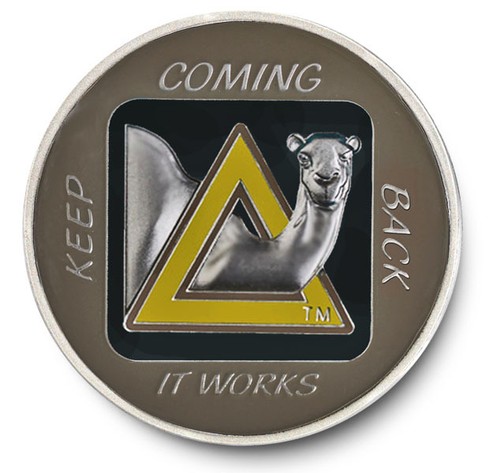 Keep Coming Back Sober Camel AA Recovery Coin/ Chip/Medallion Brn/Black ...