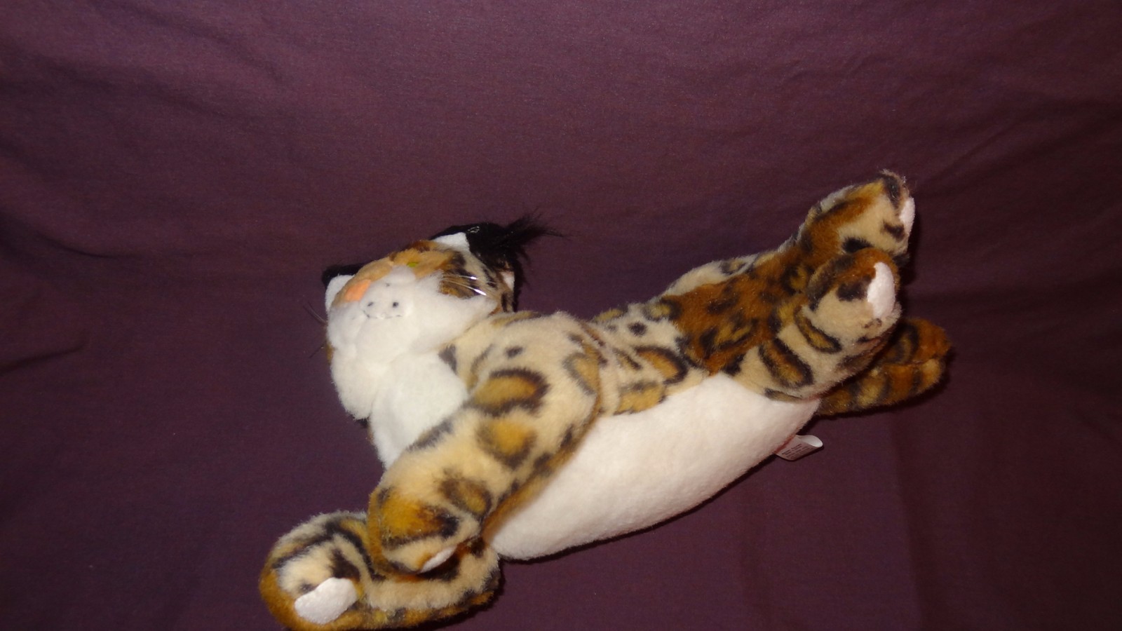 Bobcat Plush Stuffed 8"Animal Sugar Loaf Brown Tan White | eBay