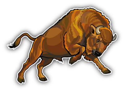 Wild Bison Car Bumper Sticker Decal | eBay
