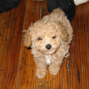 Gracie's Second Hand Goodies | eBay Stores