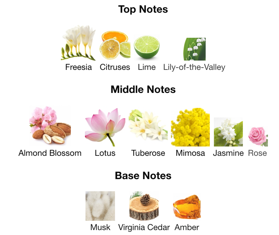 Shiseido Zen Eau de Parfum Natural Spray Vaporisateur 3.3 oz 100 ml ...