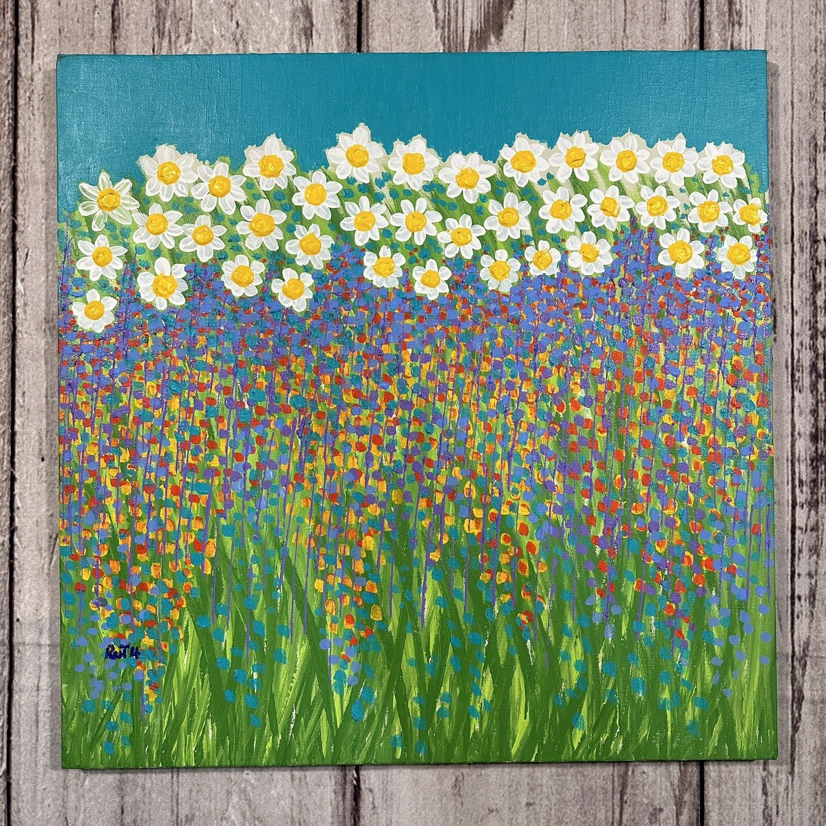 Colorful Daisies In A Field