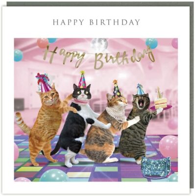 Funny Cats Conga Happy Birthday Card – Humorous Party Animals Greeting ...
