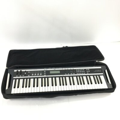 Korg X50 61-Key Music Synthesizer Keyboard Adapter Soft case Cable ...