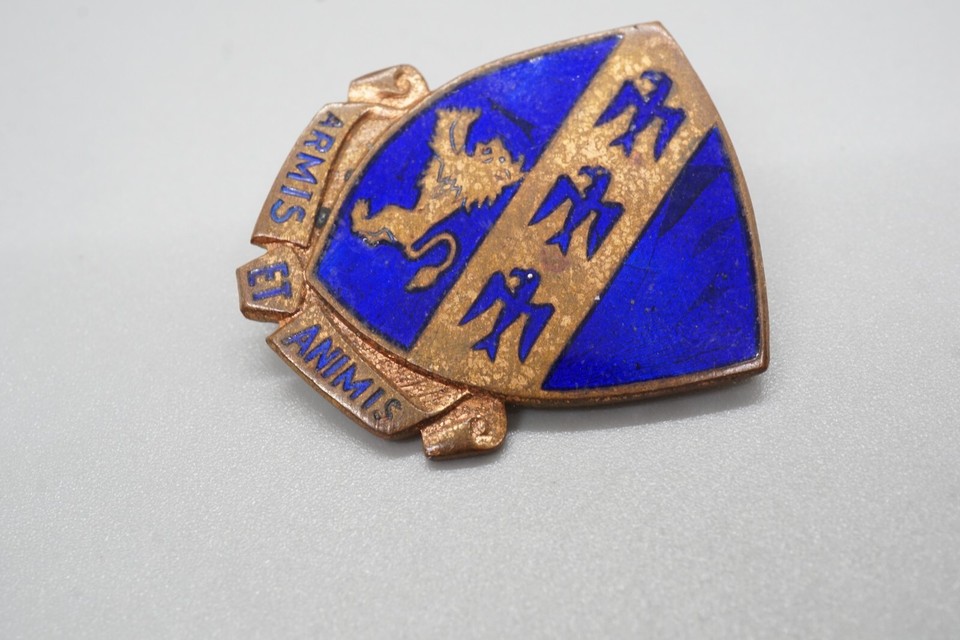 WWII German Made 317th Airborne Glider Infantry Regiment Armis Et ...