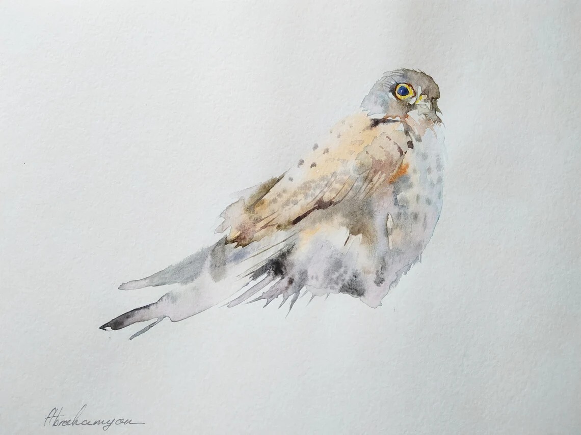 Kestrel, Birds, Watercolor artwork, Handmade, Original painting on ...