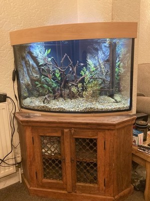 Bow Front Corner Fish Tank Aquarium Fish Tank with Solid Wood Stand and ...