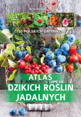 Monika Fijolek - Atlas dzikich roslin jadalnych (polish book) | eBay