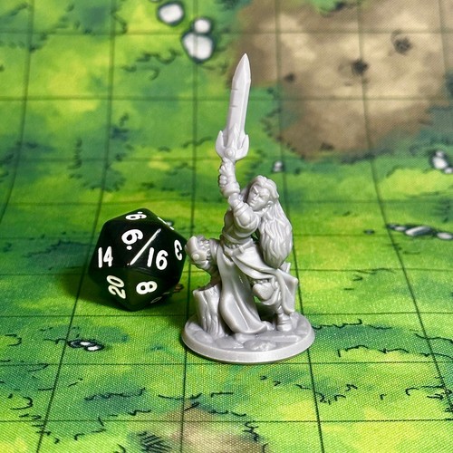 Fighter Female 01, 12k Resin Dungeons and Dragons DnD Miniatures D&D ...