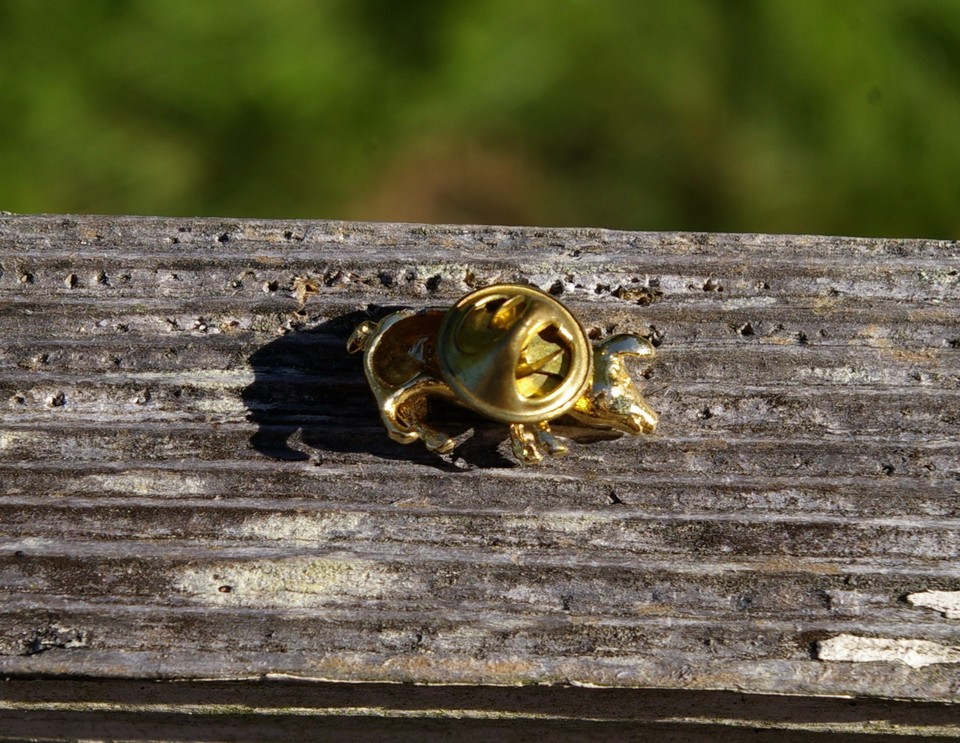 Pig Piggy Piglet Gold Tone Metal Lapel Pin Pinback | eBay