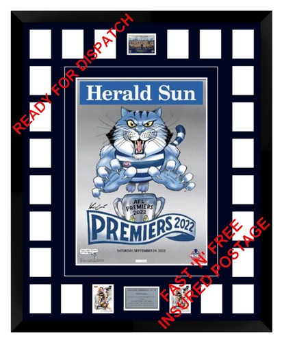 DIY EMPTY FRAME KIT TO FIT 2022 MARK KNIGHT CATS POSTER & 25 ...