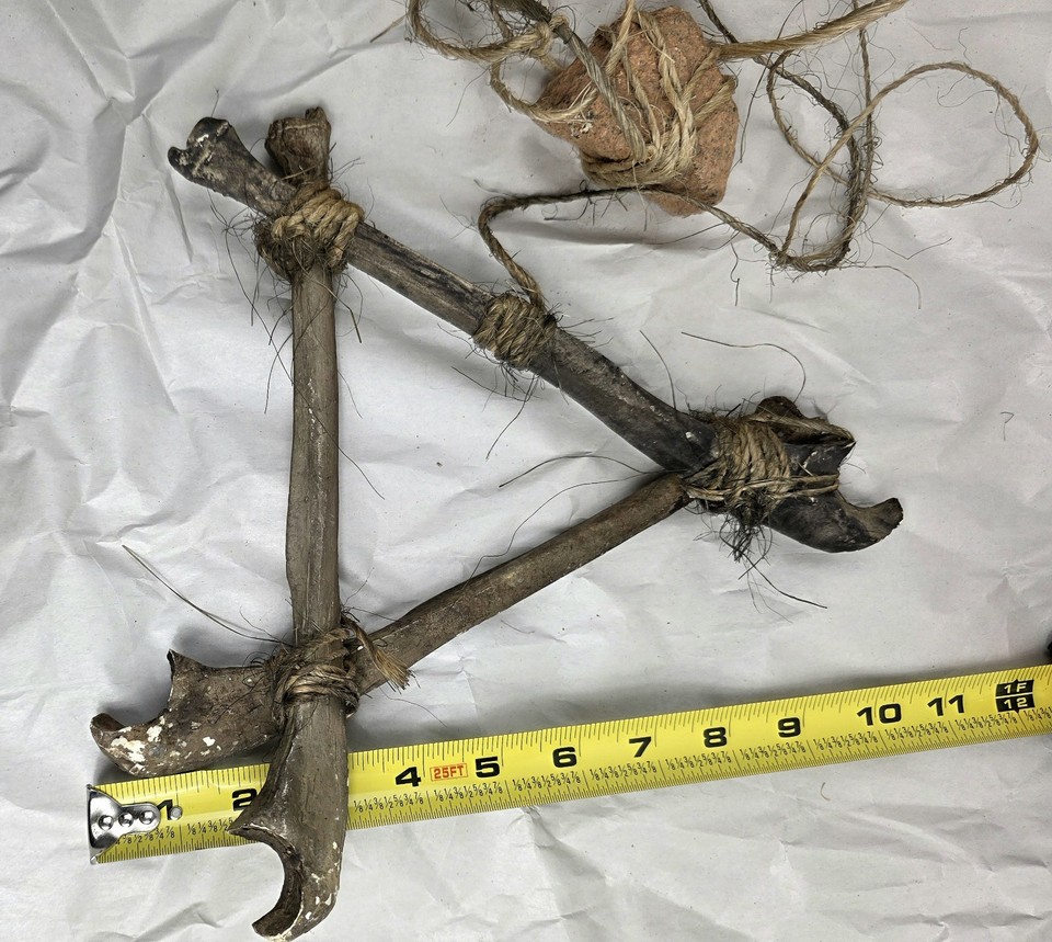 Vampire Diaries Franchise Set Dec Prop Bones from Originals S4/E4 Box ...