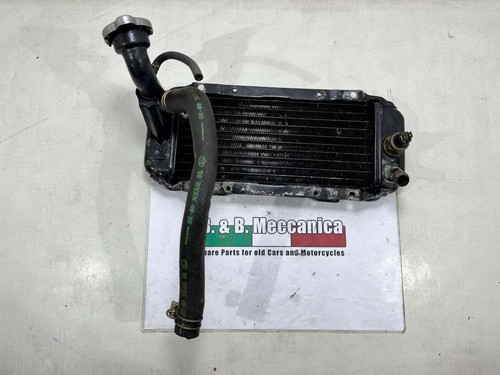 Radiator Kymco Dink 125 LX Eco 1999-2002 (JZ139) | eBay