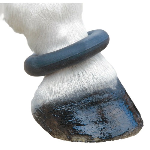 Shires Leather Horse Fetlock Ring / One Size Black ER773 | eBay UK