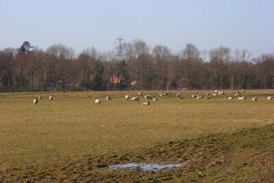 Photo 6x4 Pastures, Sulhamstead Sulhampstead Abbots Looking across a ...