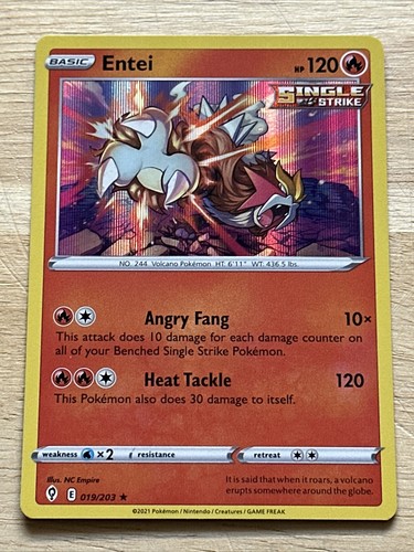 Entei - 019/203 - Holo Rare - Evolving Skies - NM/M - Pokemon Card ...