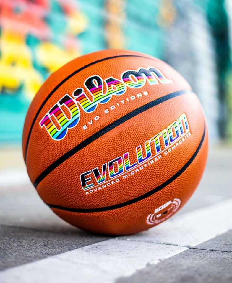 wilson evolution basketball 29.5 EVO EDITION TECHNICOLOR Limited ...