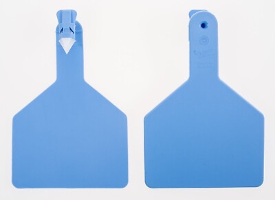 Cattle - Beef - Z Tag Cattle