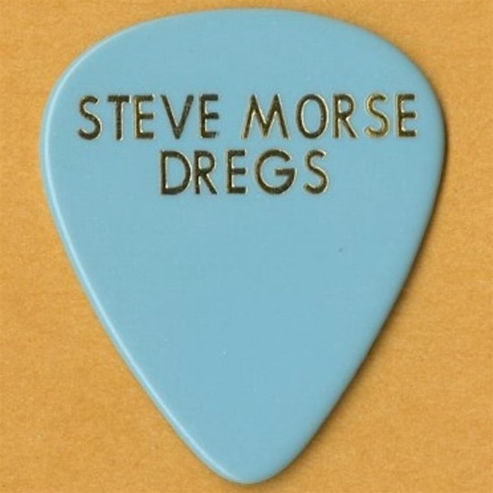 Dixie Dregs 1992 Bring 'em Back Alive concert tour Steve Morse Guitar Pick | eBay