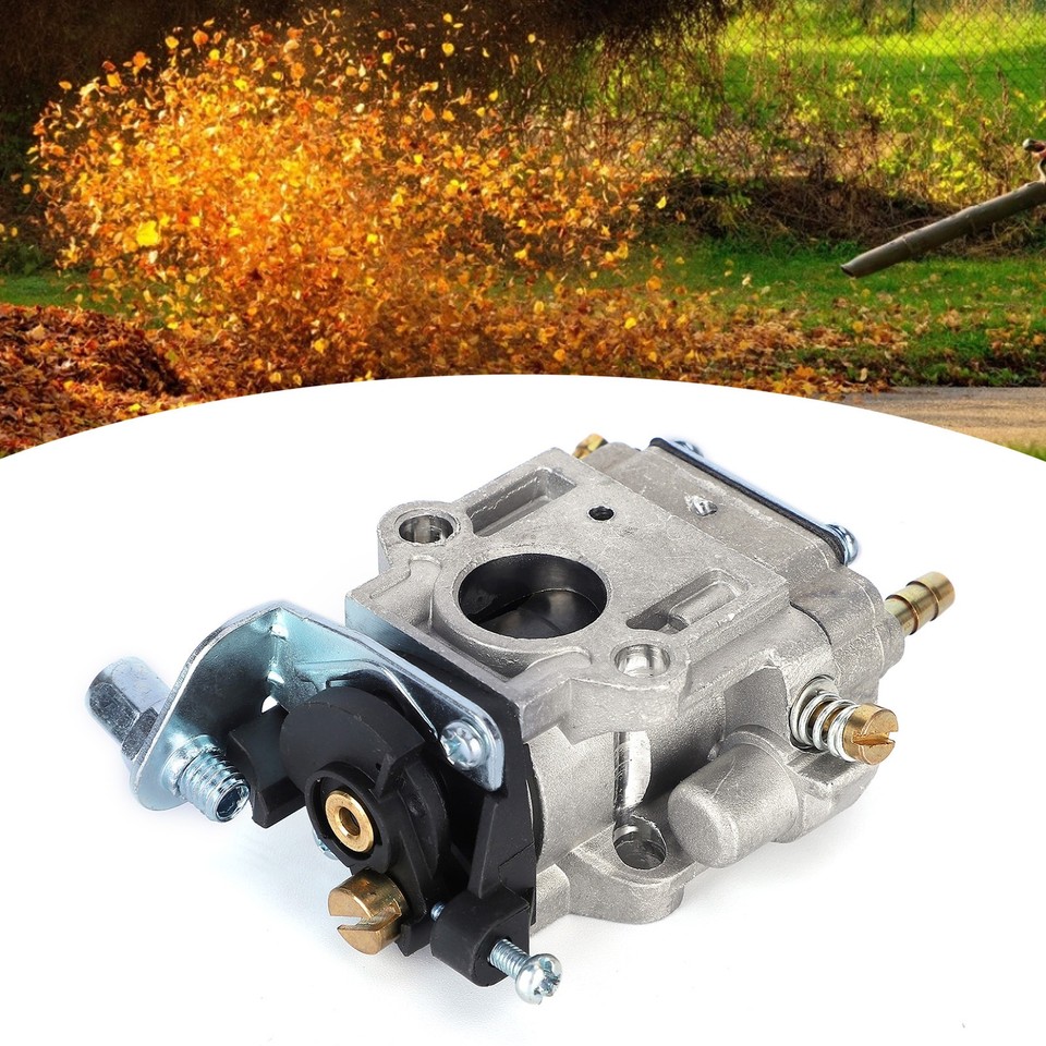 Dual Zone Mini Fridge 68L Compact Portable 12V/220V Suitable for Dorm ...