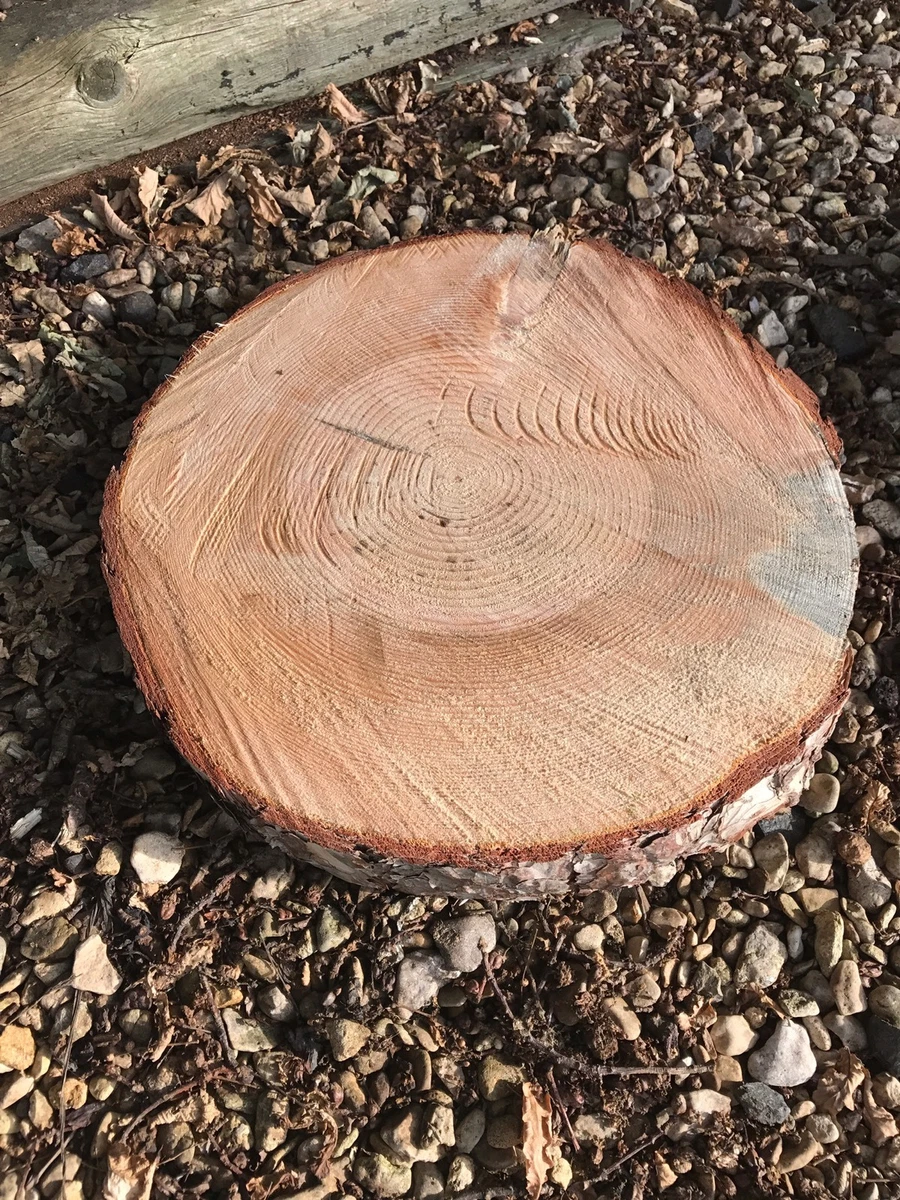 Wooden Stepping Stones For Garden Uk | Fasci Garden