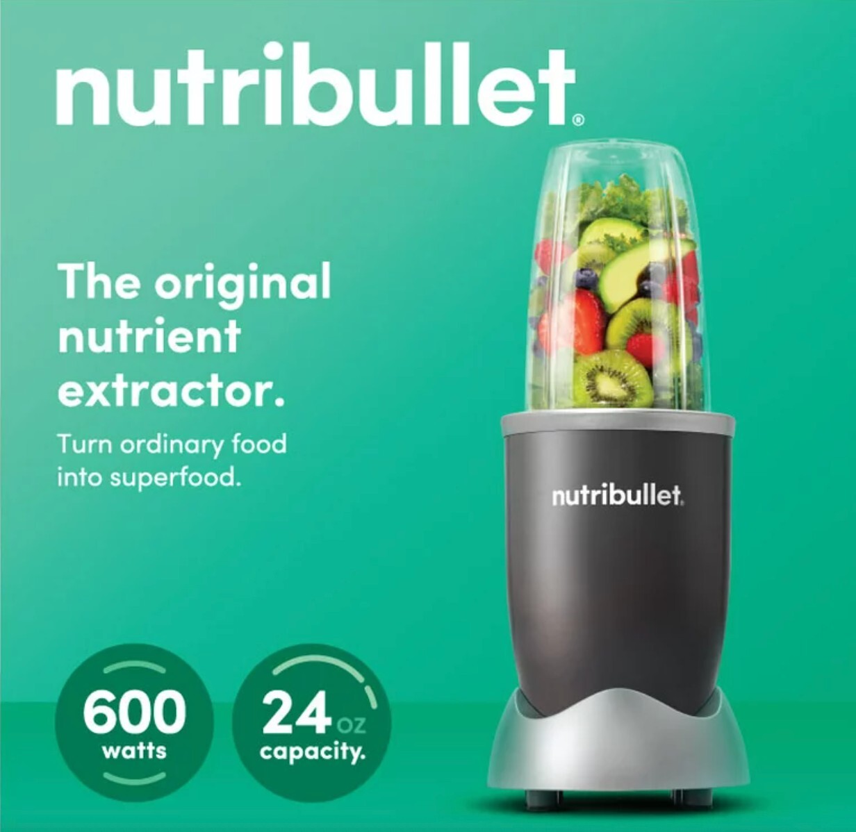 NutriBullet 600W 24 Oz Personal Blender - Gray (NBR-0601WM) for sale online | eBay