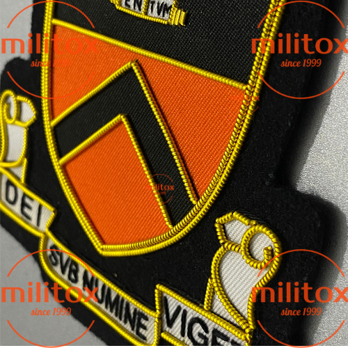 Princeton University Hand Embroidered Bullion Wire Blazer Badge, crest ...