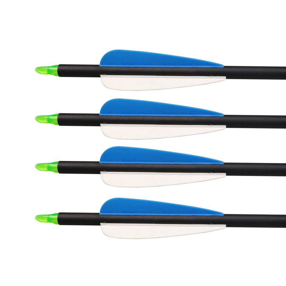 Archery 30" Carbon Arrows Practice & Hunting Arrowheads for Compound ...