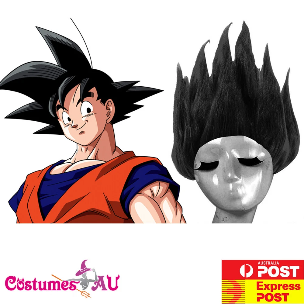 Dragon Ball Z Hair Wig | ppgbbe.intranet.biologia.ufrj.br