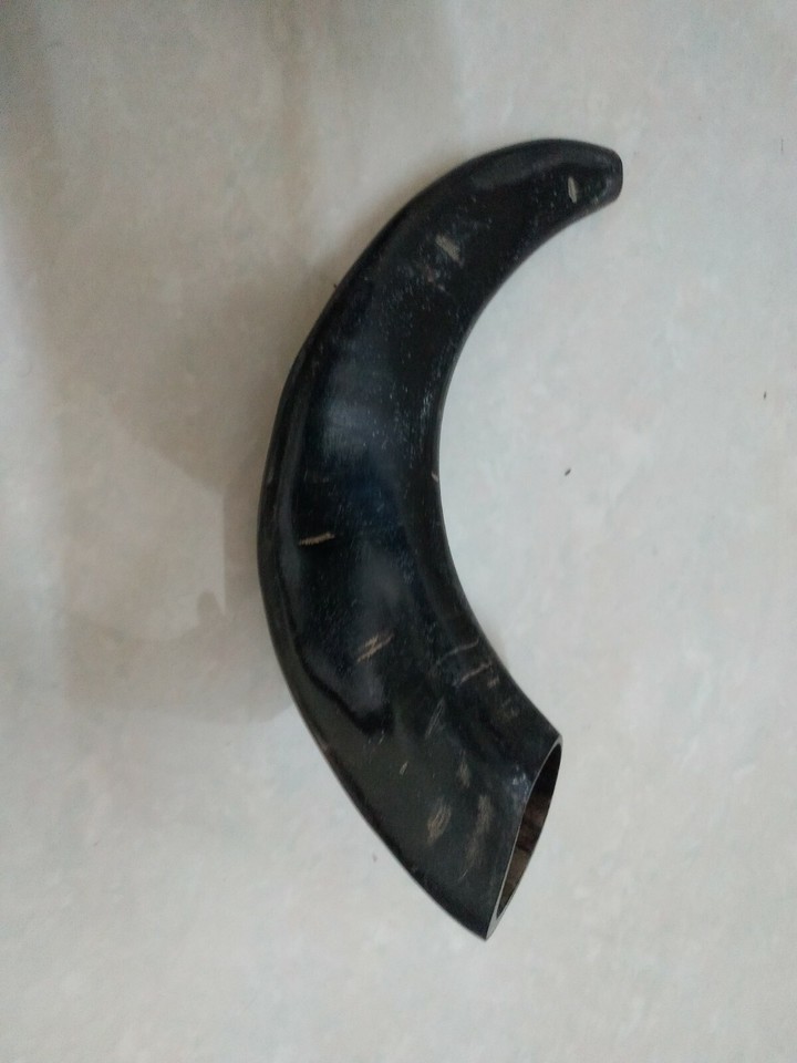 genuine rams horn shofar odourless smooth mouthpiece handmade blowing ...