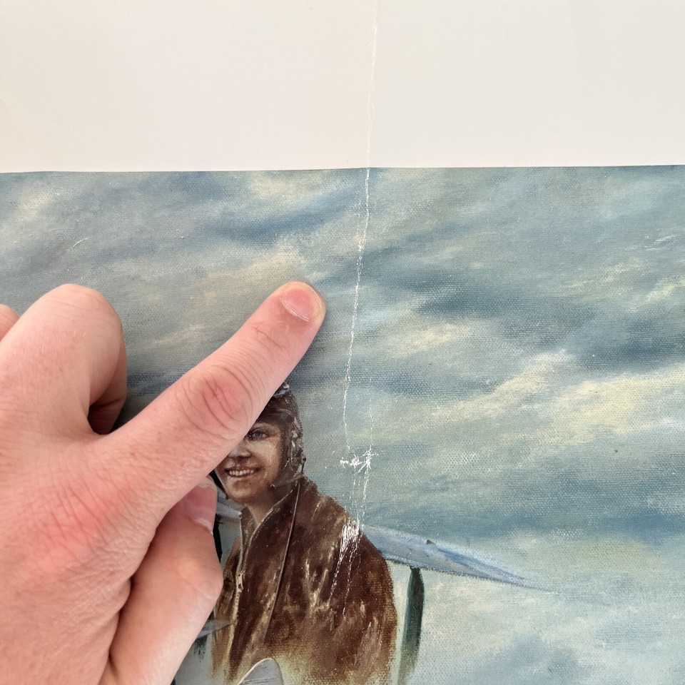 Signed Roderick Lovesey Print: A Tribute to Women Aviators Feat Amelia ...