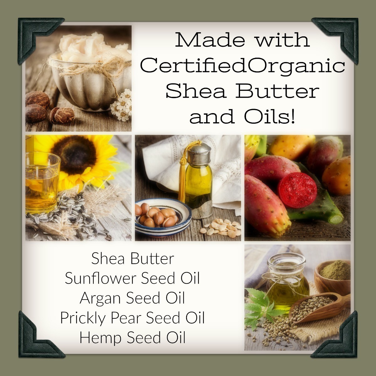 Mo' Maggie MAGNESIUM LOTION - HIGH POTENCY! Organic Base! CLEAN ...