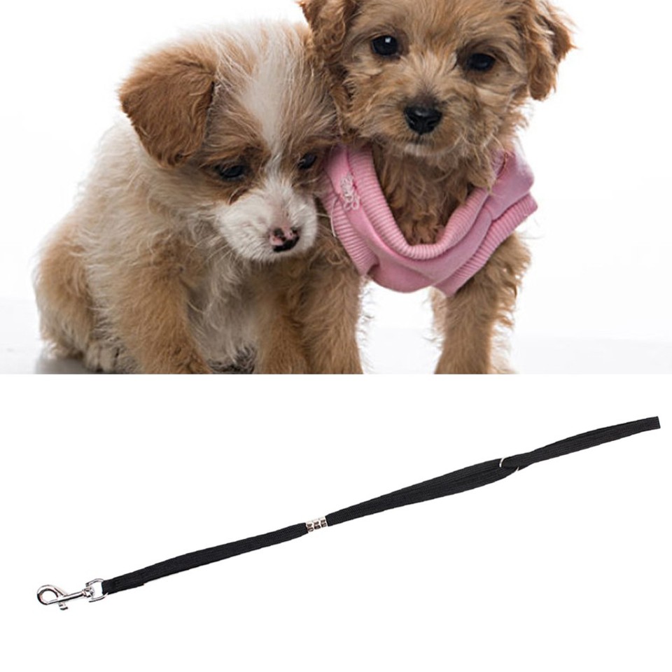 Dog Pet Cat Animal Noose Loop Lock Clip Rope Grooming Adjustable Rope ...