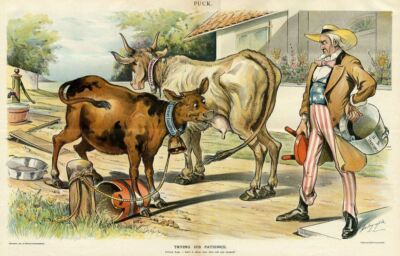 UNCLE SAM AS DAIRY FARMER WANTS TO MILK COW CALF STOOL MILKING BUCKET ...