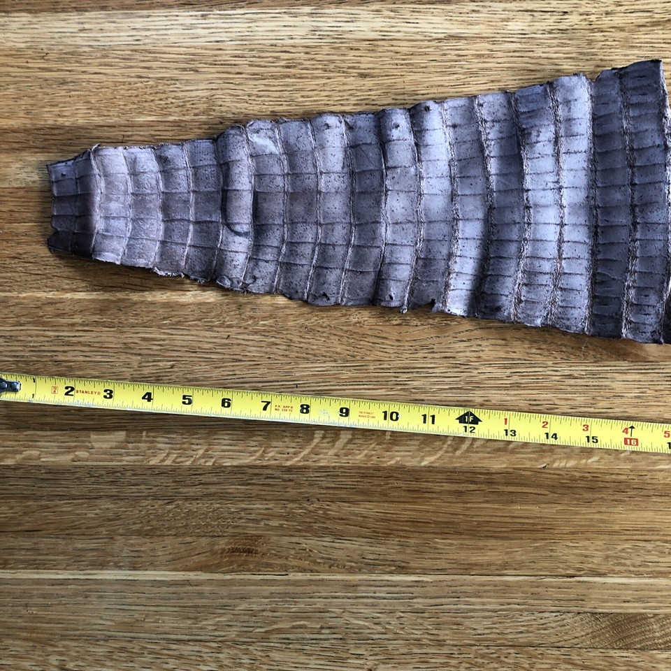 Genuine Crocodile Alligator Hide Leather Skin Brown Remnants | eBay