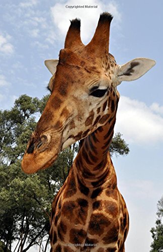 JOURNAL: FRIENDLY GIRAFFE: LINED JOURNAL, 120 PAGES, 5.5 X By Fun ...