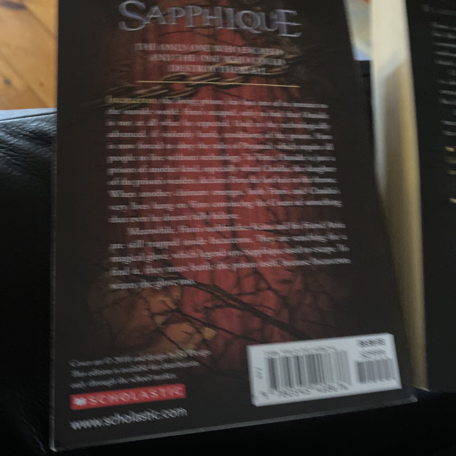 Incarceron-Catherine Fisher, 9780142418529 And Sapphique 2 Items | eBay