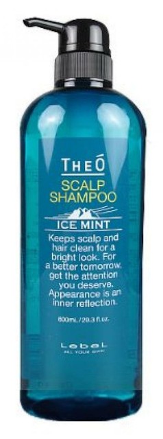Revel Geo Scalp Shampoo Ice MINT 600ml Japan for sale online | eBay