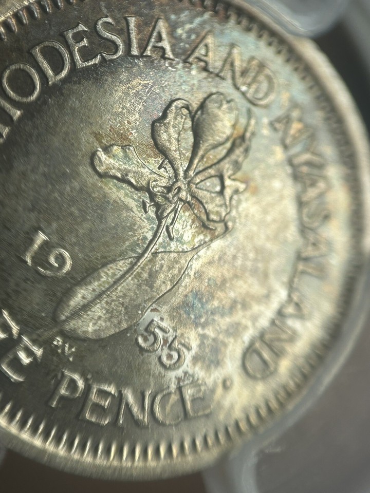 1955 Rhodesia & Nyasaland Proof Threepence ex-PCGS PR66CAM | eBay UK