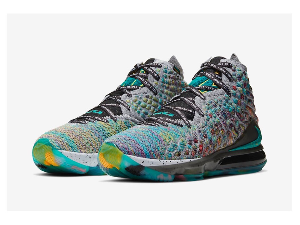 Nike Lebron 17 XVII 'I Promise' | eBay