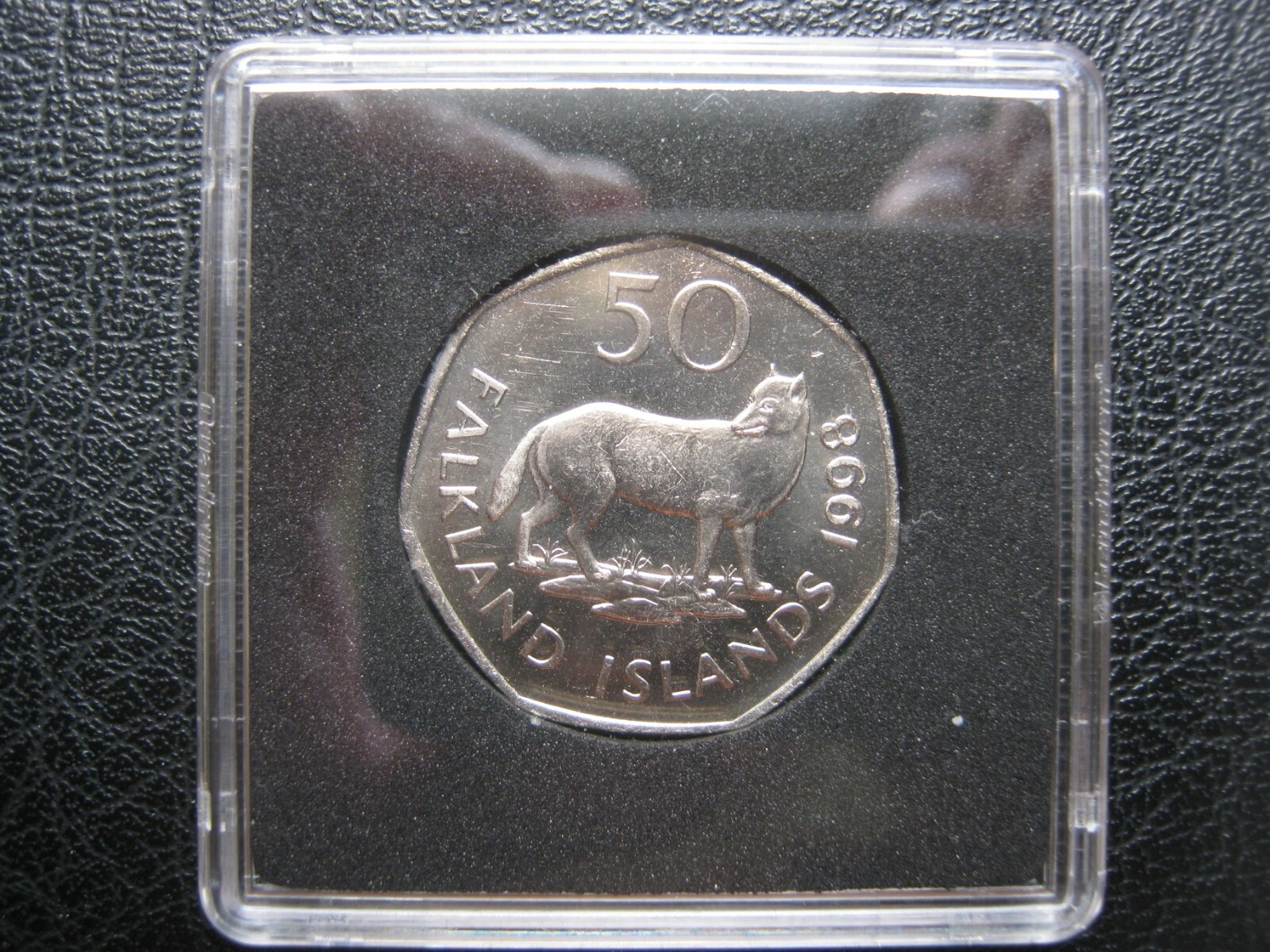 Falkland Islands 1998 50 Pence Coin ~ Extinct Warrah Fox ~ Cased | eBay